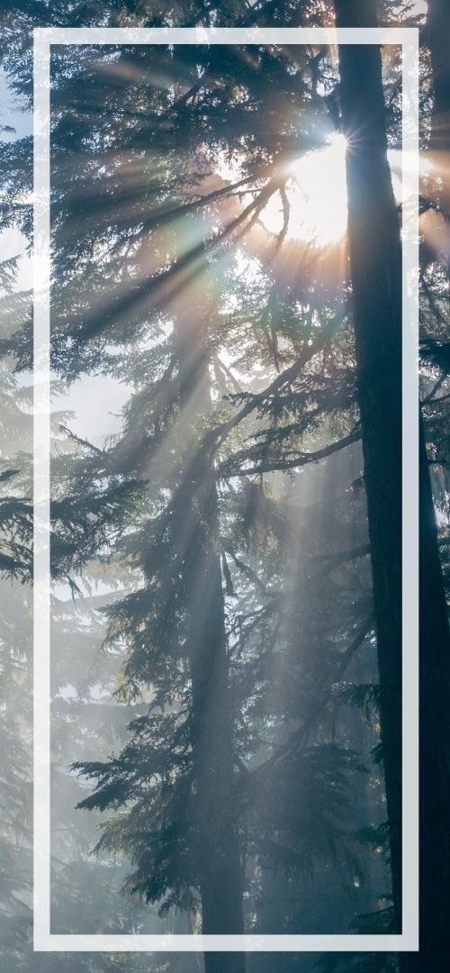 JTTDF: Week Four - Hero's Journey® Foundation