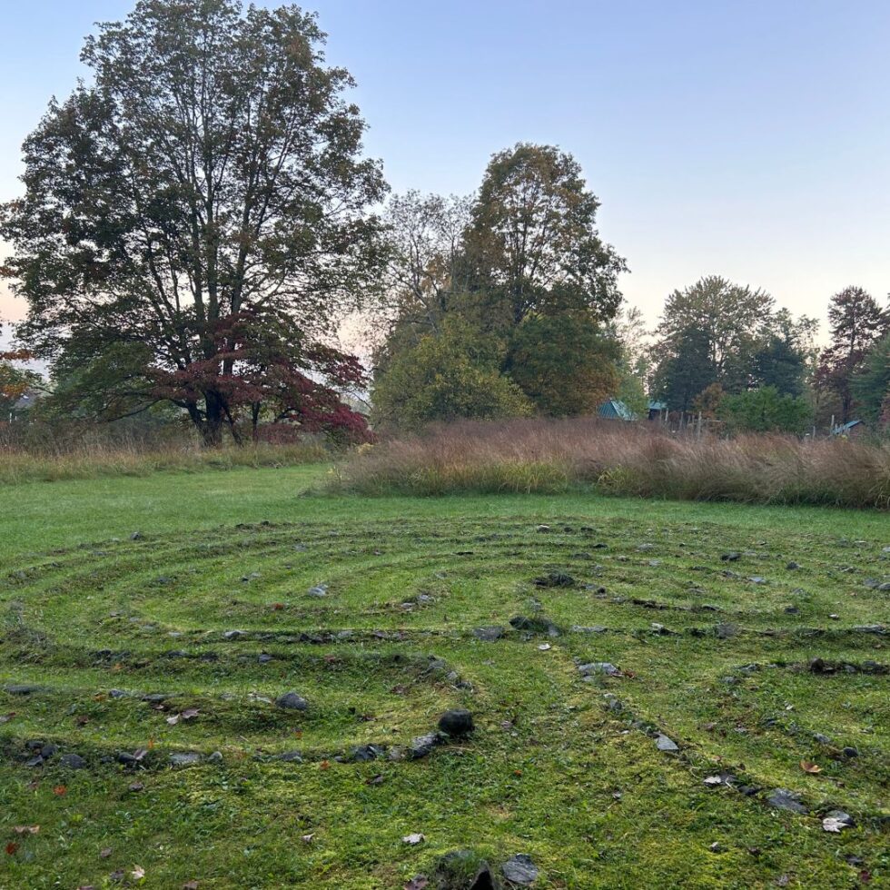 Nature - Hero's Journey® Foundation